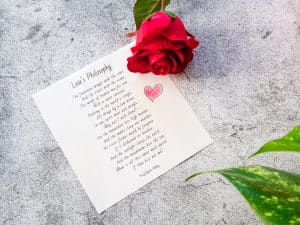 11 of The Most Beautiful Lines of Poetry to Brighten up Your Self ...