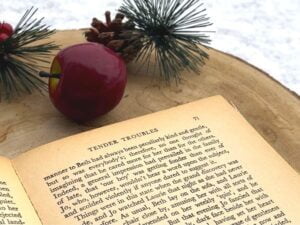 60+ Winter Book Quotes Perfect For Instagram Captions – The Creative Muggle
