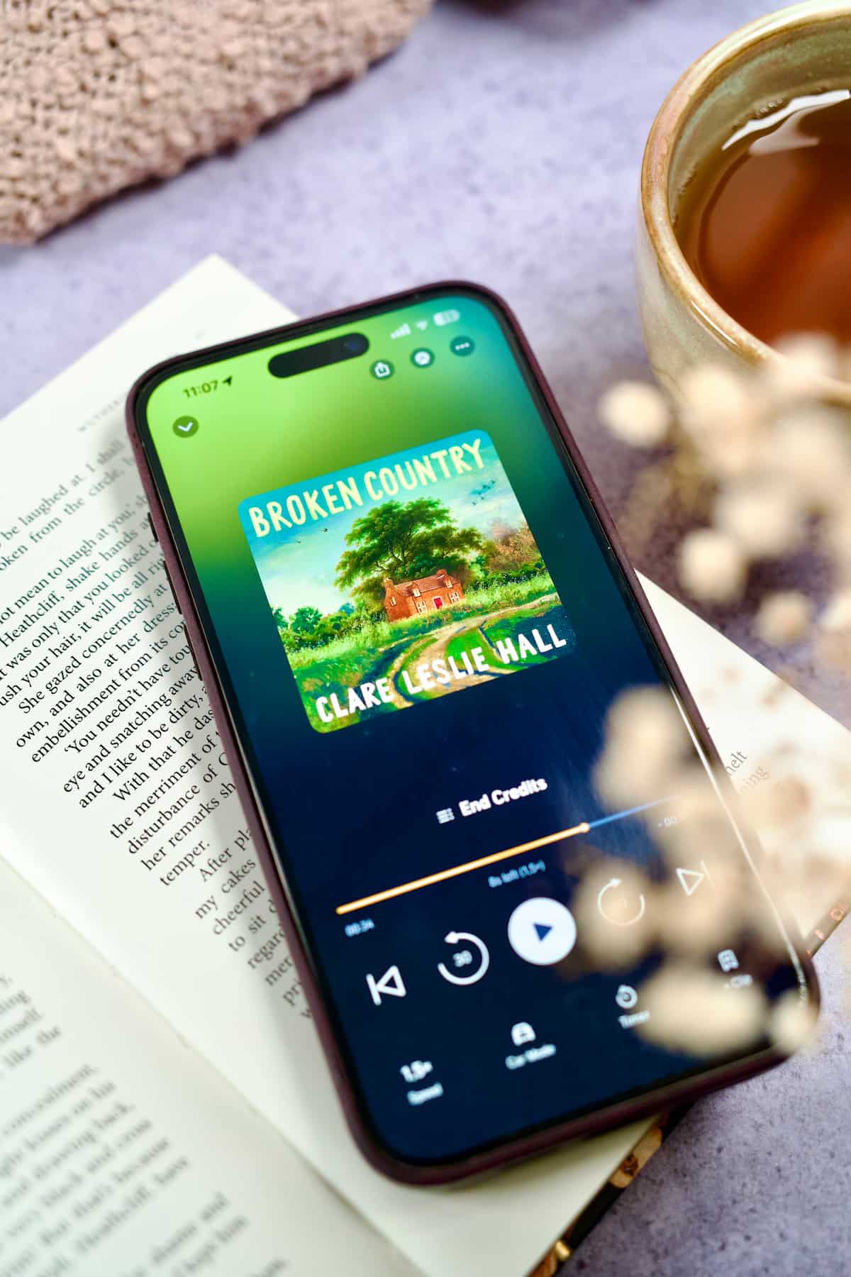 51 Book Club Questions And Snack Ideas for Broken Country by Clare ...