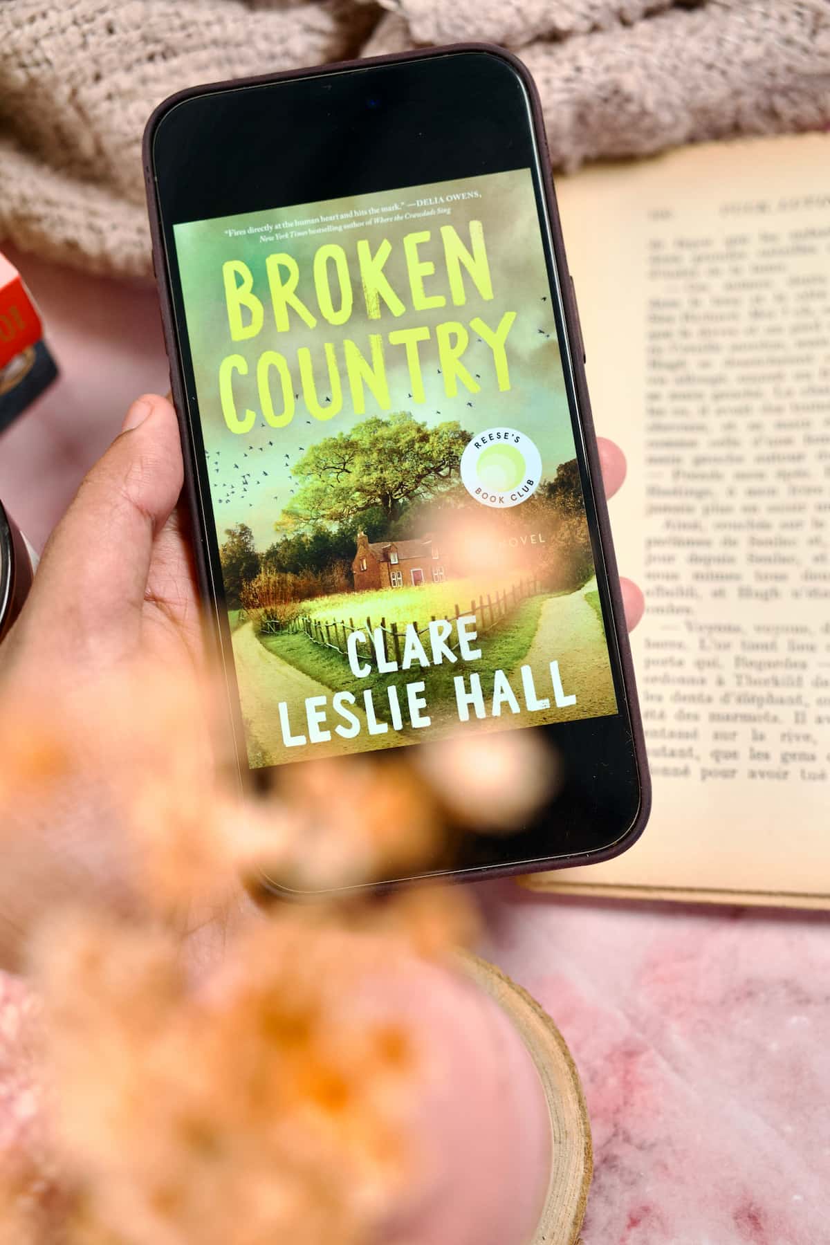 51 Book Club Questions And Snack Ideas for Broken Country by Clare ...