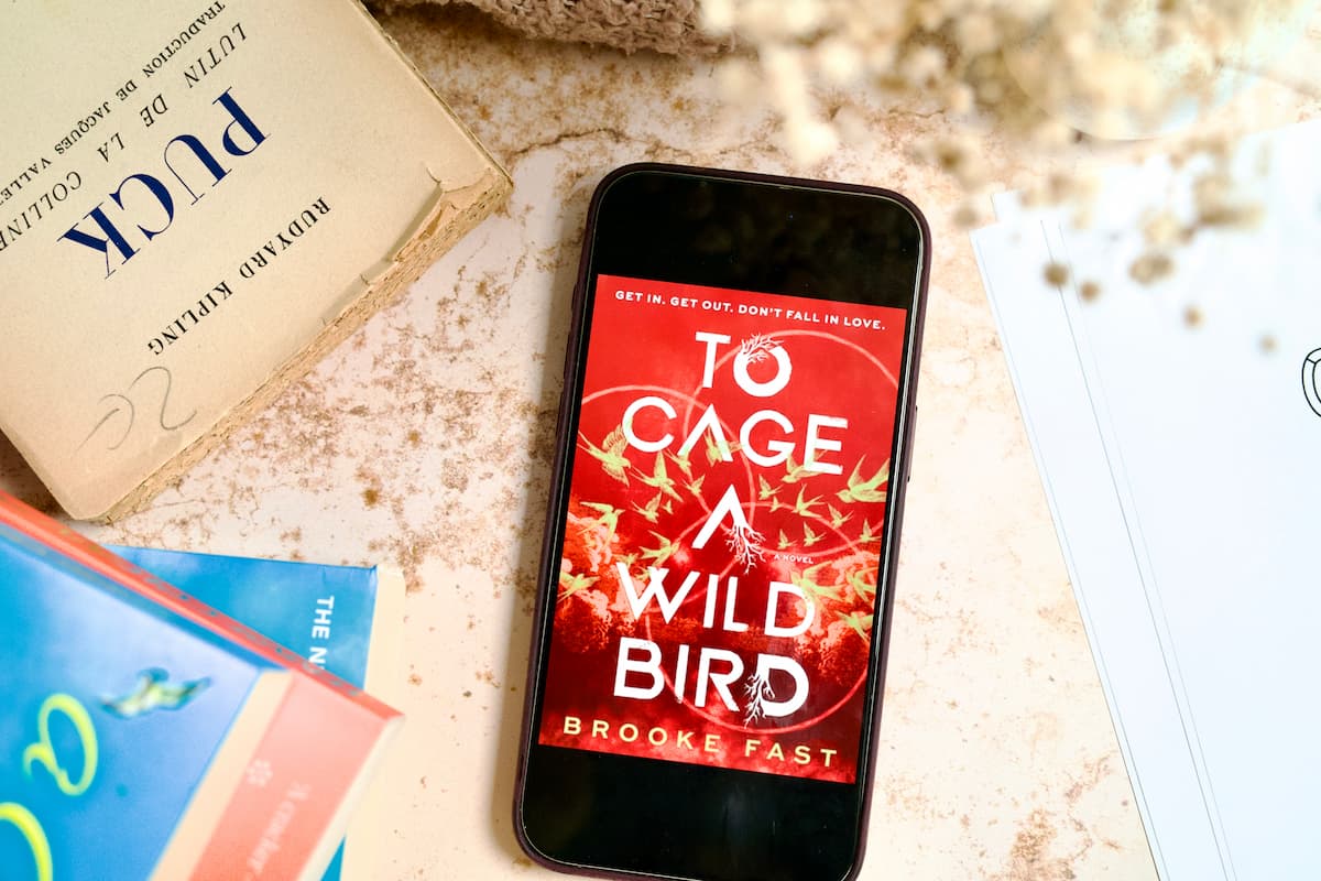 18 Best Romantasy Releases to Add to Your 2026 TBR – The Creative Muggle